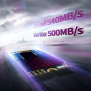 Kingshark M.2 2242 SSD 64GB Ngff Internal Solid State Drive High-Performance Hard Drive for Desktop Laptop SATA III 6Gb/s Includes SSD (64GB, M.2 224