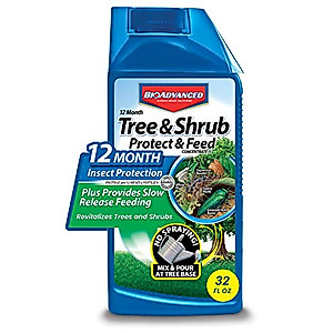 BioAdvanced 12 Month Tree and Shrub Protect and Feed II, Concentrate, 32 oz