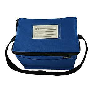 Insulated Lunch Bag (Blue)