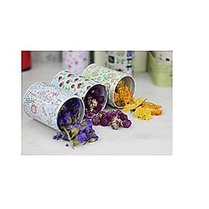 Leoyoubei 3.55x2.55 Inch Dry Storage Tinplate Caddy Box Retro Double Cover Home Kitchen Storage Containers Colorful Tins Round Tea Tins Set of 6 (shipped randomly)