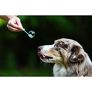 Puppy Love Bubbles, Bacon Scented Bubbles 4oz. Bottle-2 Pack in Bacon Flavor for Dogs