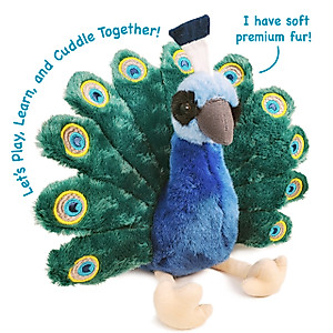 TigerHart Pakhi The Peacock - 10 Inch Stuffed Animal Plush Bird