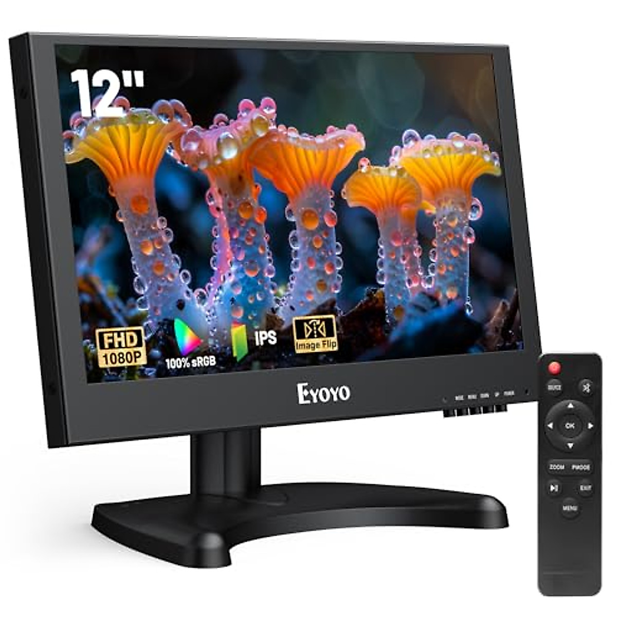 Eyoyo Small TV Monitor 12 inch Security Camera Monitor 1920x1080 IPS Computer Screen with HDMI VGA BNC AV USB Ports Metal Housing Mini LED Monitors Built in Speakers CCTV Monitors for Home Office