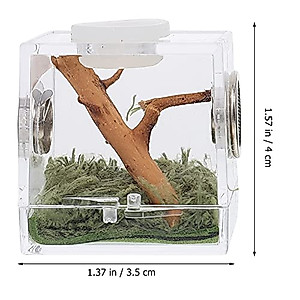 NUOBESTY 2 Set Spider Terrarium Acrylic Critter Keeper Jumping Spider Enclosure Snail Container House Reptile Terrarium Insect Enclosure Tank Snail Spider Habitat 3. 5X3. 5X4CM
