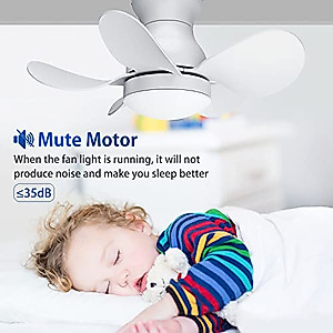 Regair Ceiling Fans with Lights, DC Motor 22 inch Flush Mount Ceiling Fans with Lights and Remote Control, Reversible Blades Small White Quiet low profile Ceiling Fan