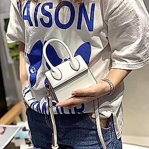 Cute Purse Mini Crossbody Bags for Women Girls Top Handle Clutch Handbag (white)