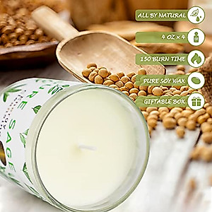 Candles, 4 Pack Sage Candles for Cleansing House Negative Energy, Alternative to Smudge Sticks, Soy Wax Sage Candles for Home Scented, Healing Candles for Meditation, Home Cleansing, Mother's Day Gift