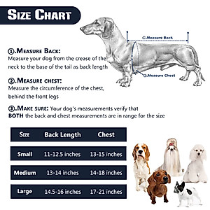 LufeLux Back Brace for Dogs with IVDD, Arthritis, Back Pain, Surgical Recovery and Rehabilitation, Dachshund Back Pain Relief, IVDD Harness(Large)