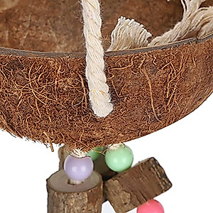 Parrot Coconut Shell Swing Parrot Swing Toy Bird Chewing Toy Nature Wood Stand Parrot Cage Bite Toys for Small Medium Birds