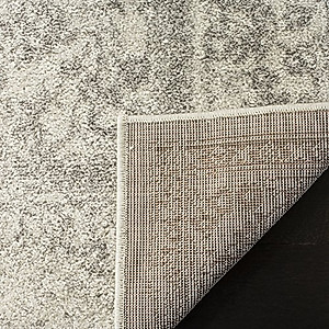 SAFAVIEH Adirondack Collection Accent Rug - 3' x 5', Ivory & Silver, Oriental Distressed Design, Non-Shedding & Easy Care, Ideal for High Traffic Areas in Entryway, Living Room, Bedroom (ADRW109C)