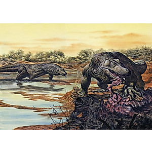 Posterazzi Megalania eating his prey Pleistocene Epoch Australia Poster Print, (34 x 23)