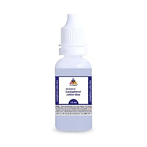Lactophenol Cotton Blue 15mL Dropper Bottle