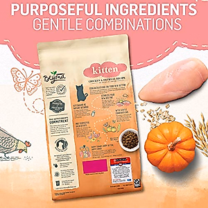 Beyond Purina High Protein, Natural Kitten Food, Kitten Chicken & Oatmeal Recipe - 3 lb. Bag
