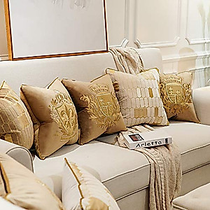 Avigers 20 x 20 Inch Embroidery Velvet Cushion Cover Shield Luxury European Pillow Case Pillowcase Home Decorative for Sofa Chair Bedroom Throw Pillow, Brown
