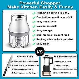 Electric Garlic Chopper, 250ML Mini Portable Veggie Chopper, Garlic Grinder Masher Onion Chopper, Blender to Vegetable, Wireless Food Processor for Ginger, Chili, Fruit, Meat, etc