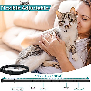Calming Collar for Cats, 4 Pack Calming Cat Collars, Pheromone Collar for Cats, Cat Anti Anxiety Relief for 30 Days, Natural Scent Adjustable Appeasing Calm Kittens Kitty Collar for All Cats (Black)