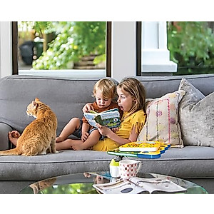 Little Green Frog Chunky Lift-a-Flap Board Book (Babies Love)