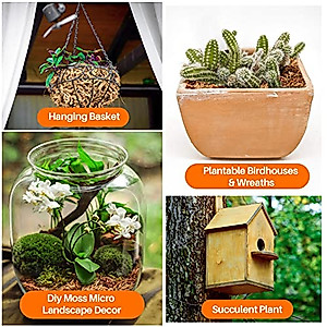 Sukh 5oz Sphagnum Moss for Plants - Sphagnum Peat Moss Natural Premium Long Fibered Chile Dried Moss Potting Mix for Orchids Succulent Carnivorous Potted Plant Reptiles Medium Sarracenia