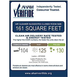 Lasko YY25620 Replacement Filter Pack HF25620 Pure Gold Air Purifier, 1-Year Supply, Medium