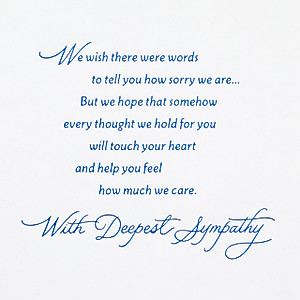 Hallmark Sympathy Card from Both or From All (Our Hearts Are With You) (5RZB2133)