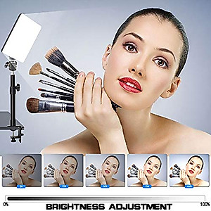 LED Desk Bi-Color Video Light, Key Light with C-Clamp Stand, 2700K-5700K Dimmable, Wireless Remote, Studio Photography Lighting