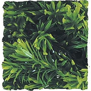 Zoo Med Naturalistic Bush Plant Borneo Star, Large