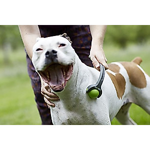 PetWell Dual Point Handheld Massage Roller Pets (Dogs, Cats)