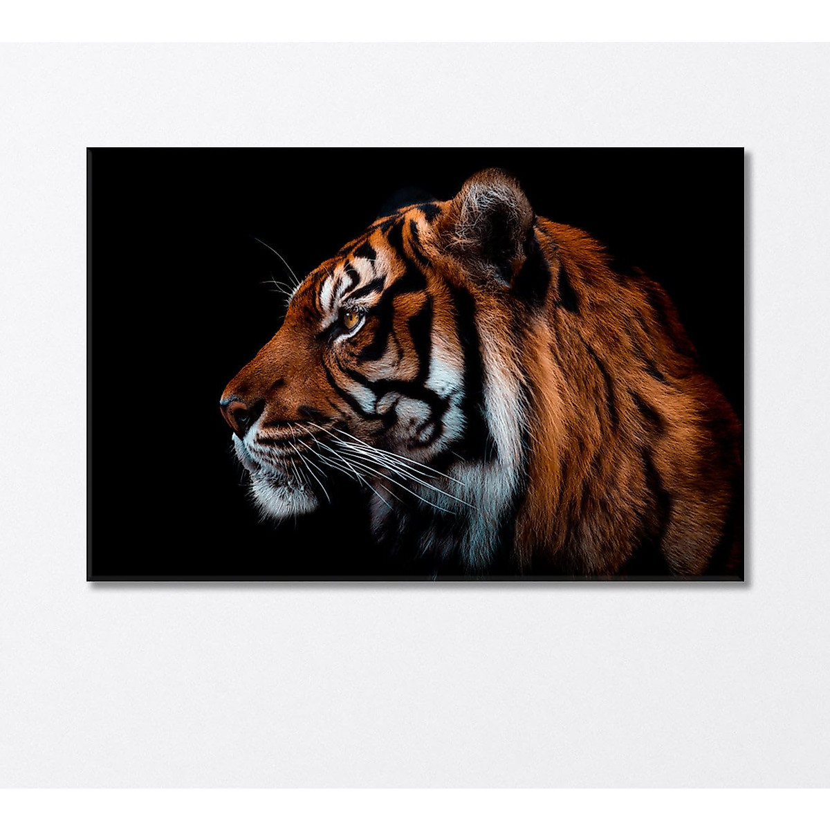 Sumatran Tiger Canvas Print 1 Panel / 36x24 inches