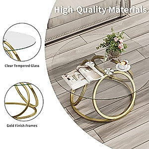 O&K FURNITURE Gold Coffee Table, Modern Round Glass Coffee Table for Living Room with Ring-Shaped Frames, Gold Glass Table for Home&Office,Gold Finish, 1PC
