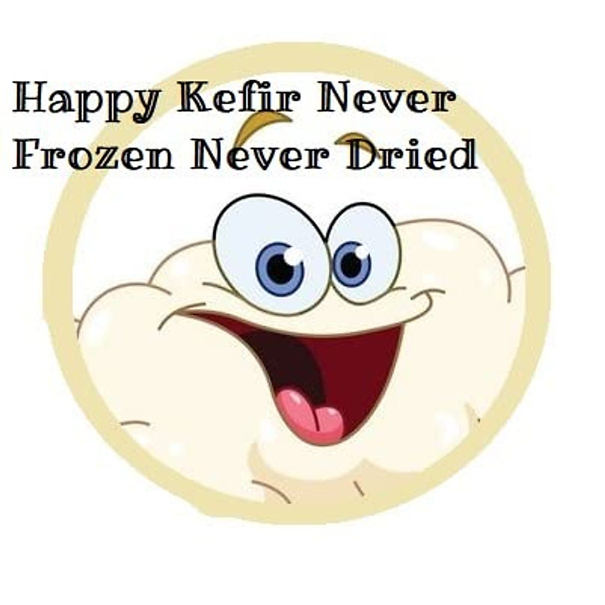 1 SET Milk Kefir Grains Set Starter Culture, Fresh Live Active Probiotic Start your own Kefir Culture at Home, Bulgaros de Leche, Pajaritos, Homemade Kefir Milk