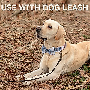 Dog Collar for Small Medium Large Dogs & Cats, Summer Popular Dog Collar with Personalized Print for Girl & Boy Dogs Adjustable Puppy Bow Tie Collar Attachment with Golden Metal Buckle