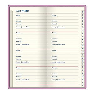 Letts Icon Slim Pocket Password Book, Cream Paper, 160 Pages, 5.75 x 2.75 x 0.375 Inches, Pink (B090131)
