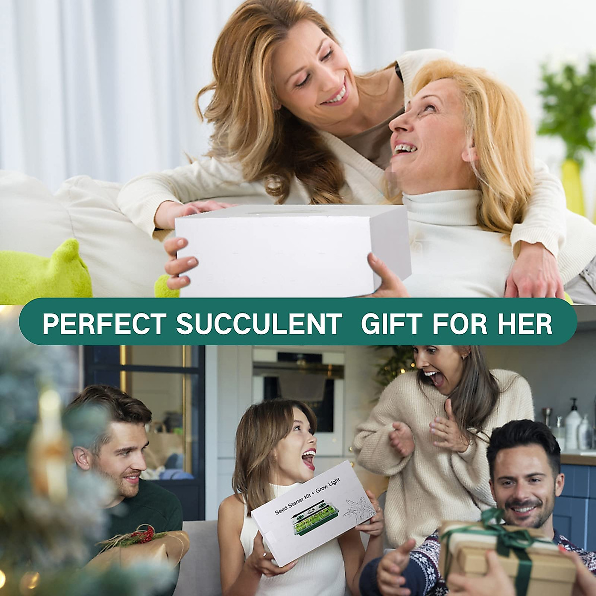 Ganggend 2 Pack 80 Cells Seed Starter Tray Kit with 4 Grow Lights, Humidity Dome Plant Seedling Starter Kit Indoor Mini Greenhouse for Herb Seeds Growing Starting Garden Plant Growing