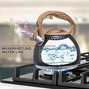 Tea Kettle, Black Stovetop Teapot, 2.7 Quart, Loud Whistle, Food Grade Stainless Steel and Smooth Wood Pattern Handle, Sophisticated Look for Hiking, Picnic, for Tea, Coffee, Milk