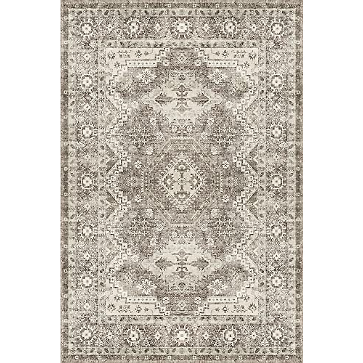 Rugland Stain Resistant Washable Rug, Anti Slip Backing Rugs for Living Room, Boho Vintage Tribal Area Rugs (TPR07-Ivory, 8'x10')