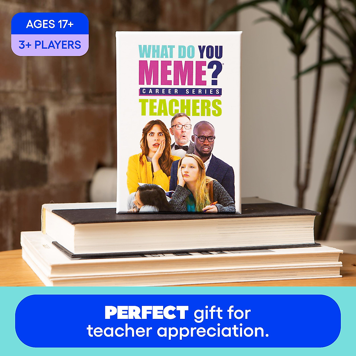 WHAT DO YOU MEME? Teacher's Edition - The Hilarious Party Game for Teachers