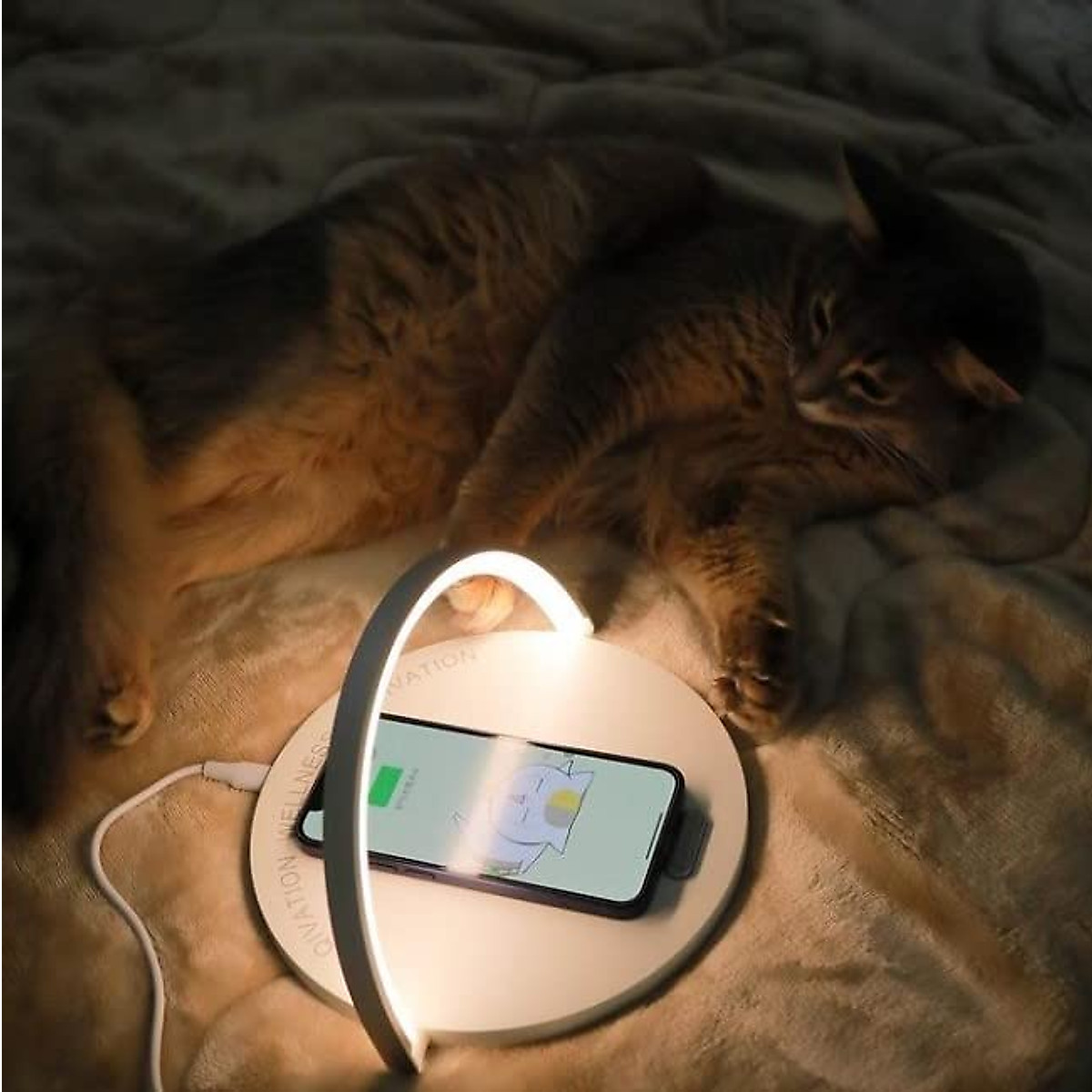 Qivation TiO2 Multifunctional Desk Lamp with Wireless Charger, Japan Tech 24/7 Air Purification, LED lamp 3 Brightness Levels, Phone Stand, Eye-Caring Night Light Qi Comp. for Home & Office