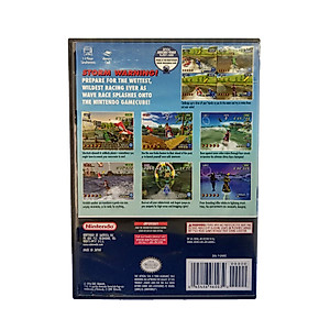 Wave Race: Blue Storm