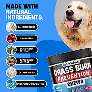 Dog Urine Neutralizer for Lawn - Green Grass Dog Chews Helps Lawn Burn from Dog Urine - Dog Pee Grass Neutralizer - Grass Savers for Dog Urine - Dog Rocks Alternative - Urinary Tract & Bladder Support