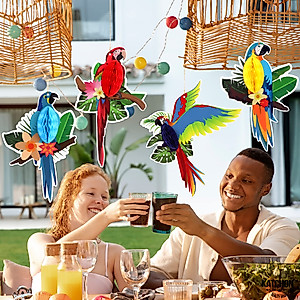 KatchOn, Tropical Birds Honeycomb Cutouts - Big, Pack of 6 | Luau Party Decorations | Tropical Party Decorations, Hawaiian Party Decorations, Rainforest Decorations | Jungle Decorations, Tiki Party
