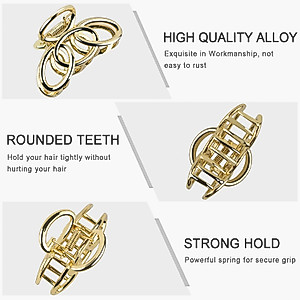 Hair Clips for Women and Girls - 2 Inch Medium Metal Claw Clips for Thin to Thick Hair, Non-Slip Strong Clamps (Black, Silver, Gold, Rose Gold)