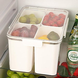 Moretoes 1 Pack Veggie Tray with Lid Sealed Sectioned Fruit Snack Serving Platter Vegetable Storage with 4 Compartments Fruit Storage Containers for Fridge (7.8L)