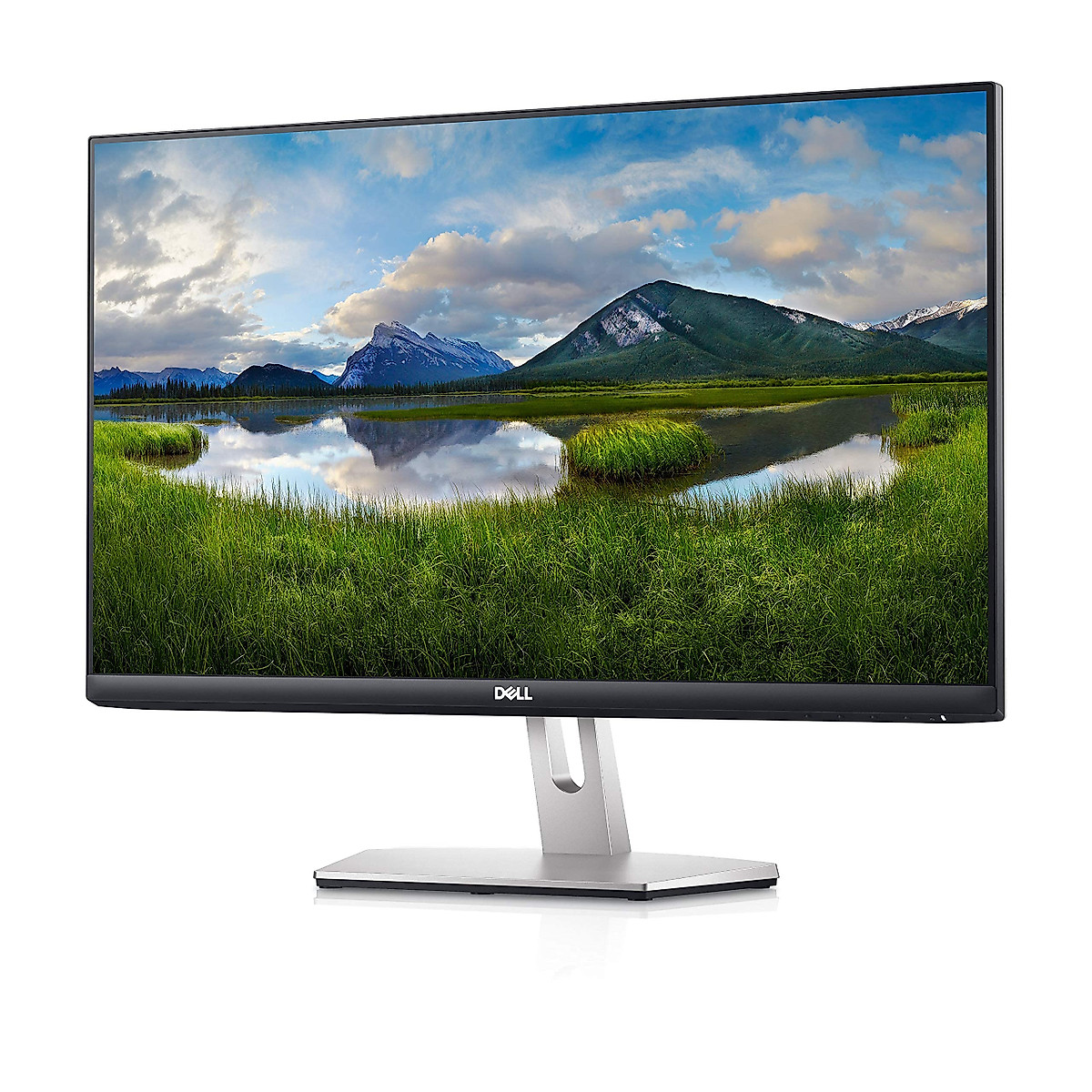 Dell S2421HN 24 Inch Full HD 1080p (1920 x 1080) 75Hz IPS Ultra-Thin Bezel Monitor 2 x HDMI Ports, Audio Line Out, Adaptive AMD FreeSync, Silver (Renewed)
