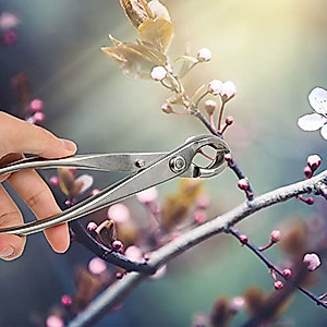 Tgoon Bonsai Cutter, 210mm Ergonomic Handle Branch Clipper Bonsai Styling Tool Professional High Strength for Bonsai Modeling for Branch Removal