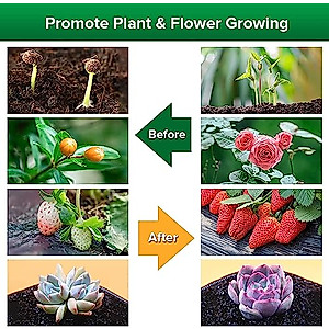 SANSI LED Grow Light Bulb for Seeds and Greens, Full Spectrum 10W Grow Light (150 Watt Equiv) with Optical Lens for Indoor Plant, High PPFD, E26 Base, 3-Pack