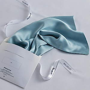 Bedsure Silk Pillowcase for Hair and Skin, Blue Silk Pillow Cases Queen Size, Gifts for Women and Men, 20x30 Inches(1 PCS)