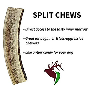 Elkhorn Premium Chews – X Large Split Single Pack (for 50+ lb Dogs) Premium Grade Elk Antler for Dogs (1 Piece) Sourced in The USA