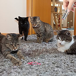 EAWONGEE Cat Interactive Toys for Indoor Cats Dogs, Multi-Mode Pet Kitten Red Light Pen Toys, USB Rechargeable Cat Mouse Toys Wand Light for Outdoor Cat Playing Training Chasing