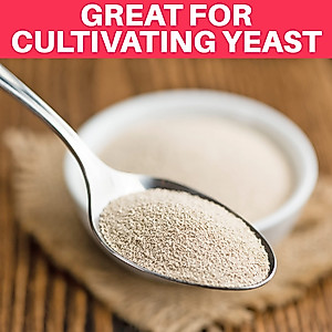 Yeast Peptone Dextrose (YPD) Agar Plates - Evviva Sciences - Great for Yeast Cultivation - 10 Prepoured YPD Petri Dishes - Great for Science Projects