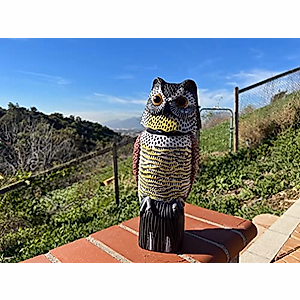 GiftExpress 15.5" Scarecrow Owl Decoy with Rotating Head Statue, Pest Repellent, Bird Control, Bird Deterrent, Garden Protectors, Fake Owls (1)